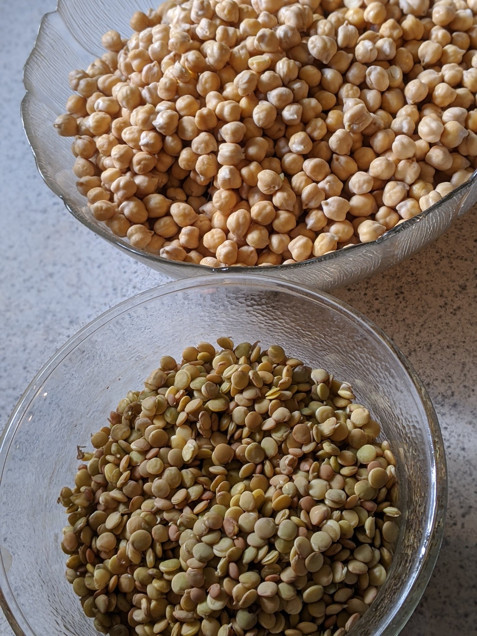 How to Cook Beans & Lentils [+Soak & Sprout] - Whole & Healthy Kitchen